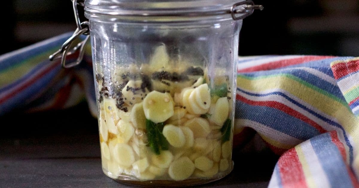 Manga Inji Pickle/ Mango Ginger/ Amba Haldi Pickle - PepperOnPizza